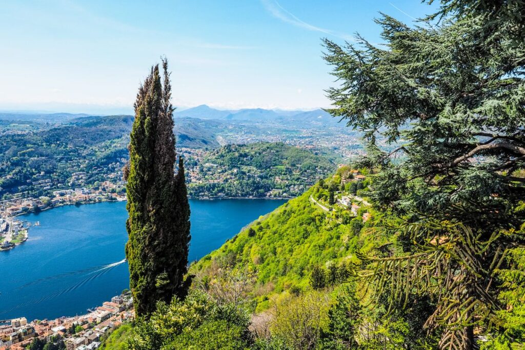 Greenway Lago di Como: Un'Avventura Ecologica | Lake Como Water Taxi